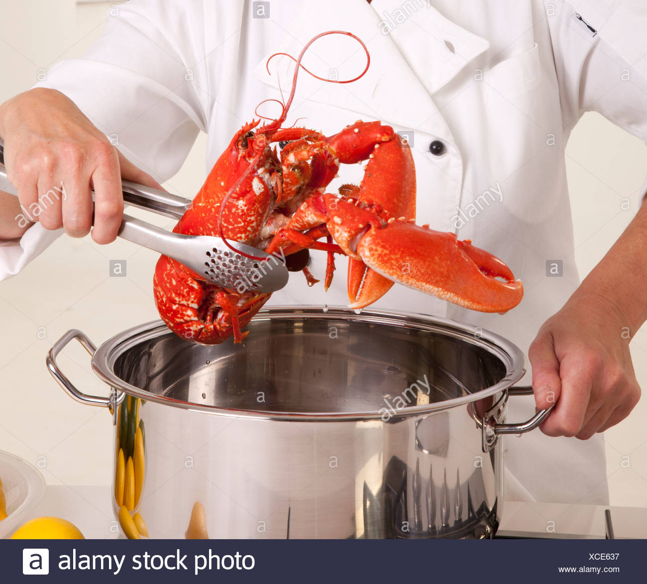 Holding Lobster High Resolution Stock Photography and Images - Alamy