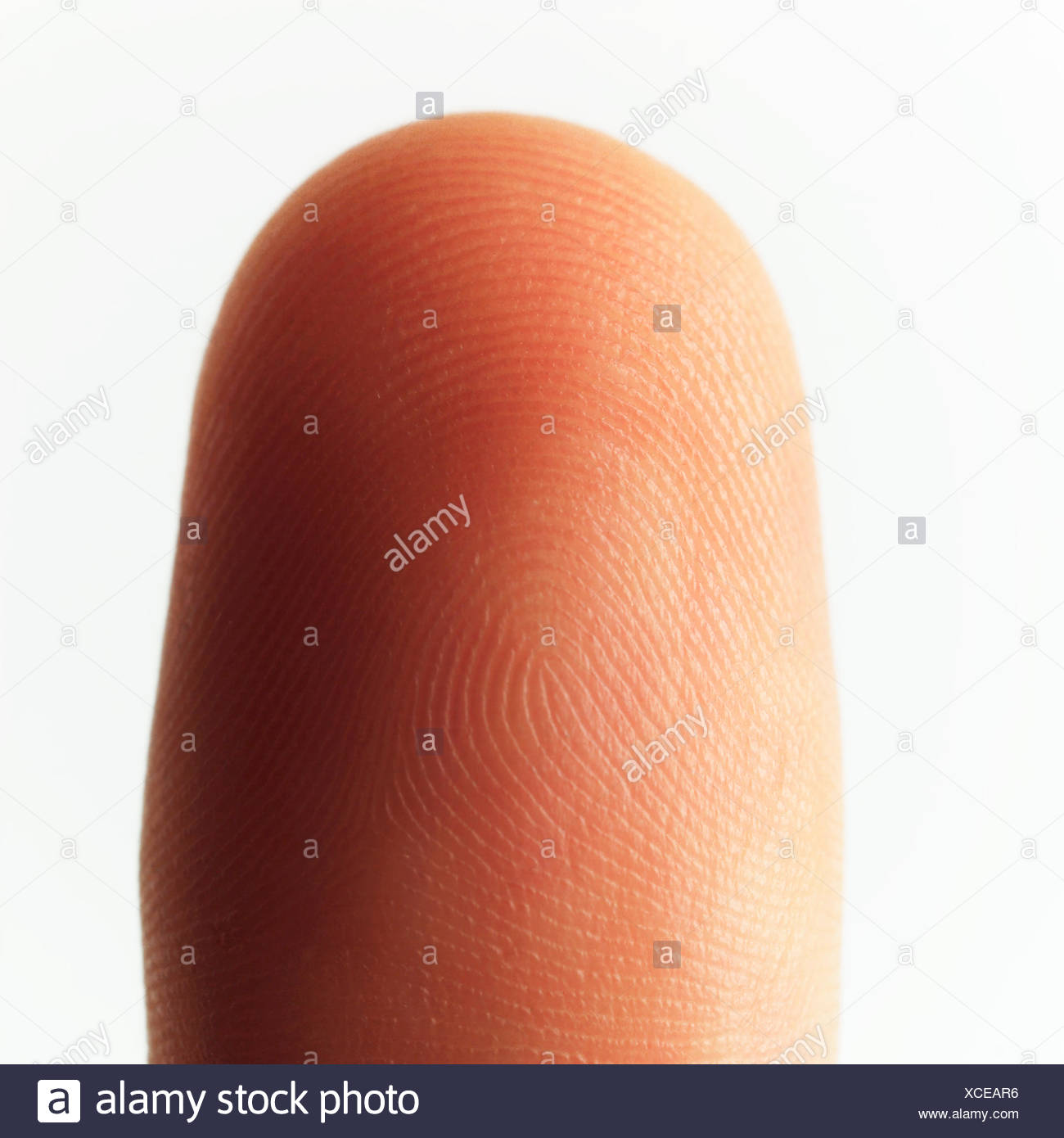 Fingertip Stock Photos & Fingertip Stock Images - Alamy