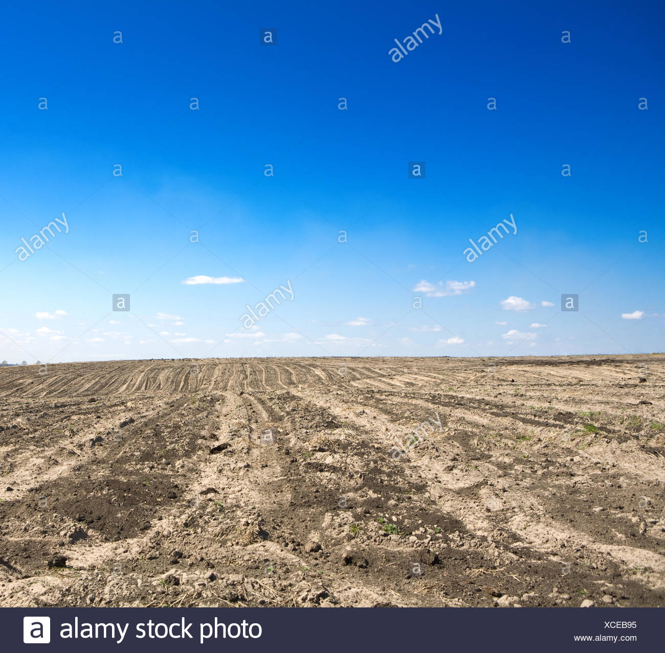 Uncultivated High Resolution Stock Photography and Images - Alamy