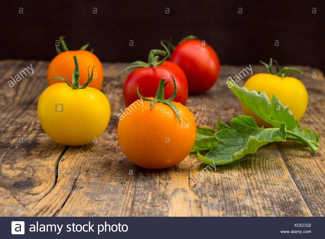 Different Coloured Tomatoes High Resolution Stock Photography and ...