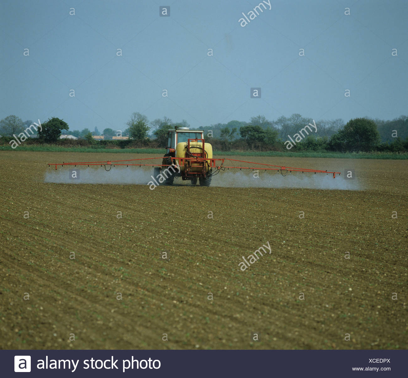 Sugar Boom High Resolution Stock Photography and Images - Alamy