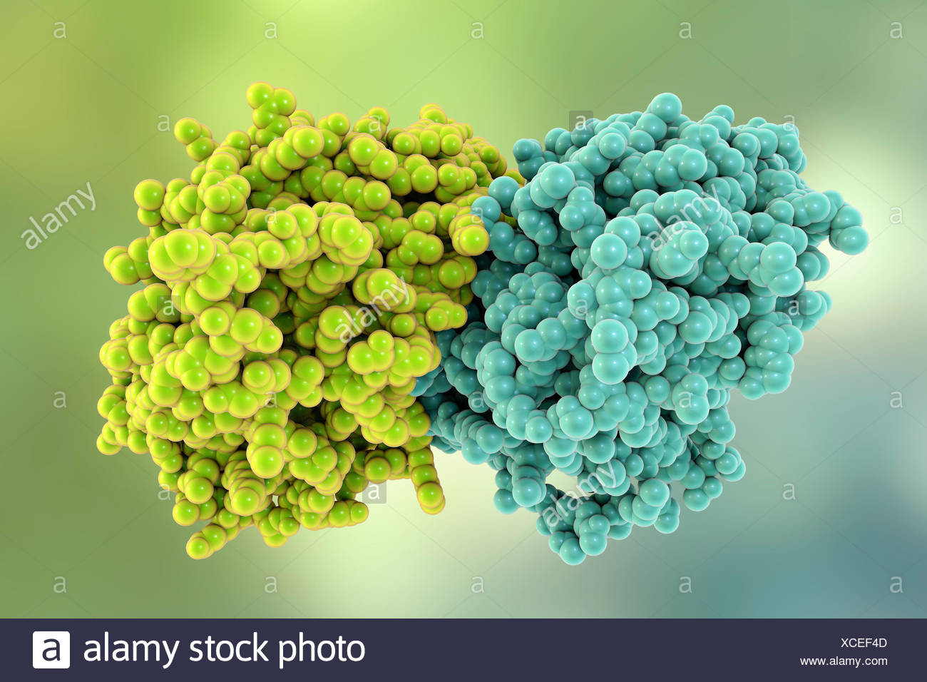 Secondary Sheet High Resolution Stock Photography and Images - Alamy