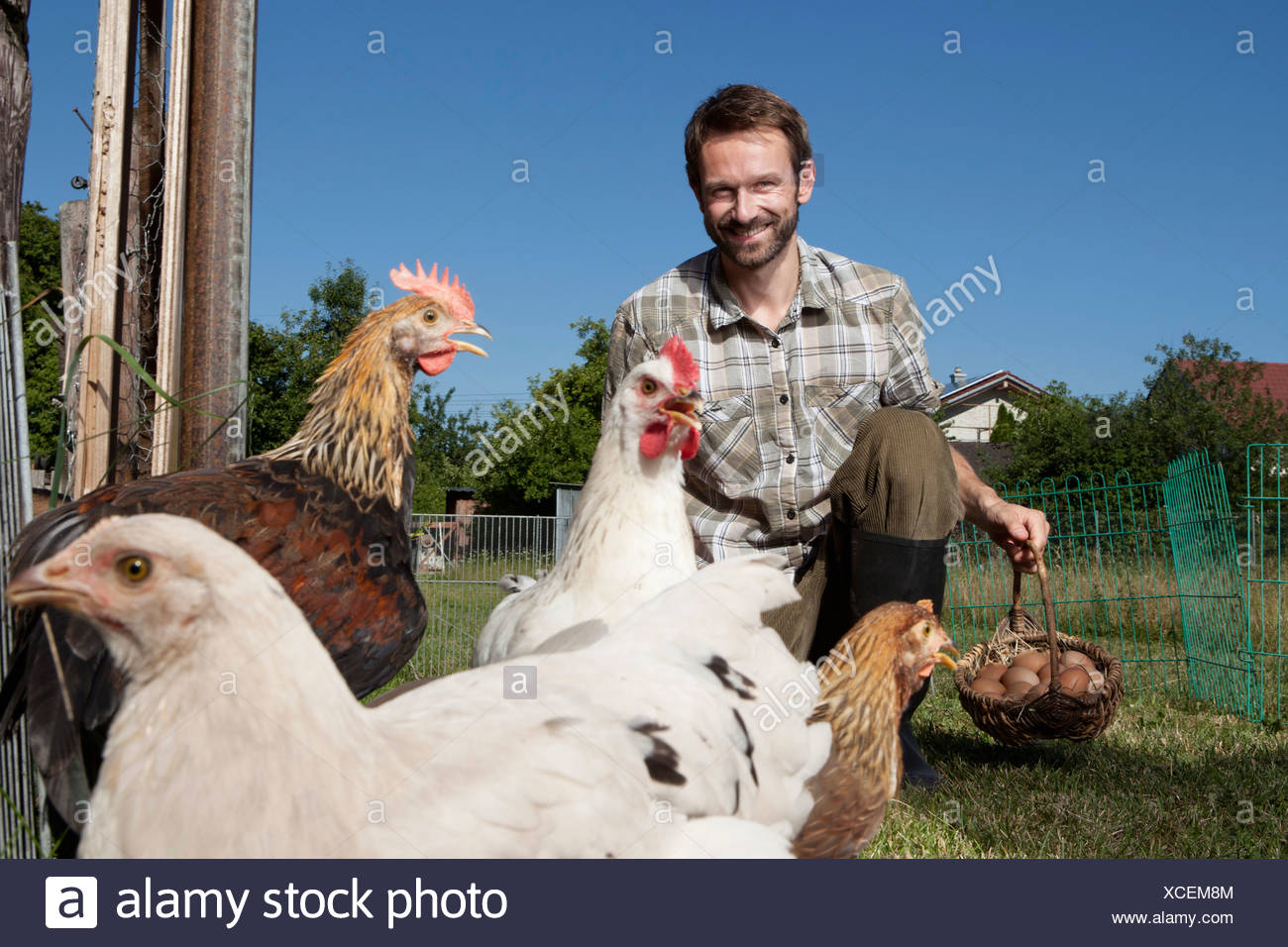 Man Feeding Chickens Outdoors High Resolution Stock Photography and ...