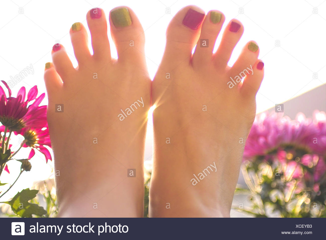 Woman Painted Toenails Beauty Stock Photos & Woman Painted Toenails ...