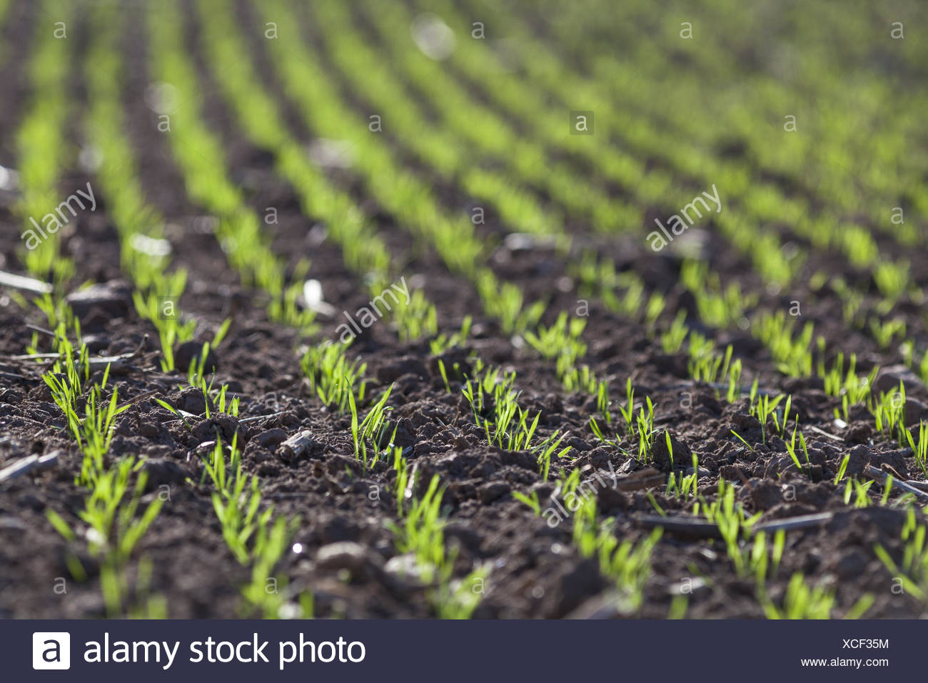 Agricultural Structures High Resolution Stock Photography and Images ...
