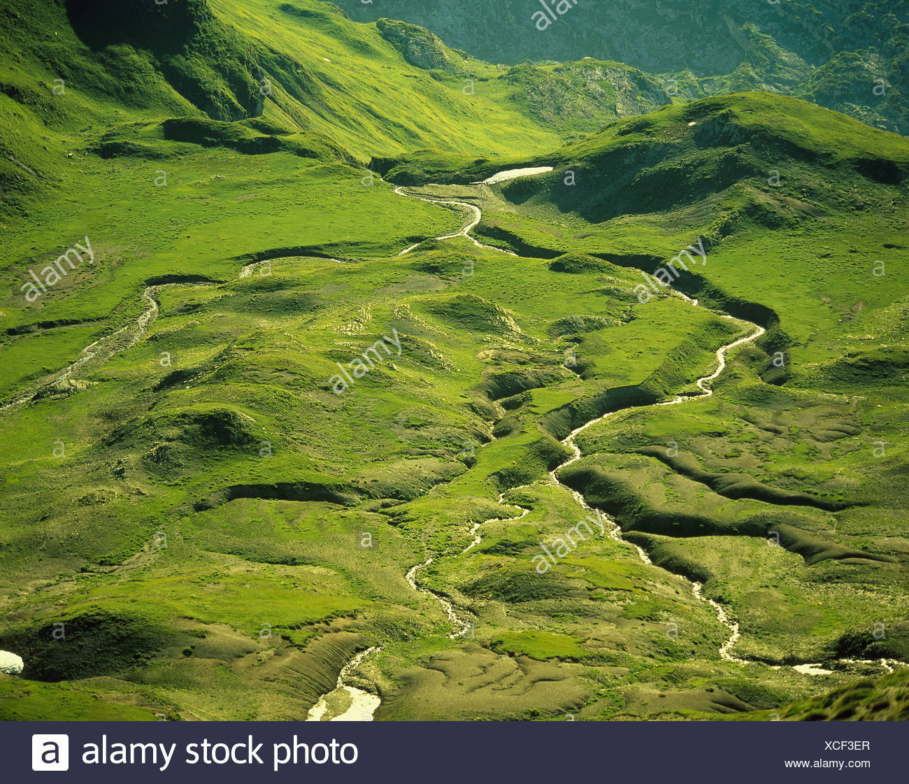 Lech Austria Summer High Resolution Stock Photography and Images - Alamy