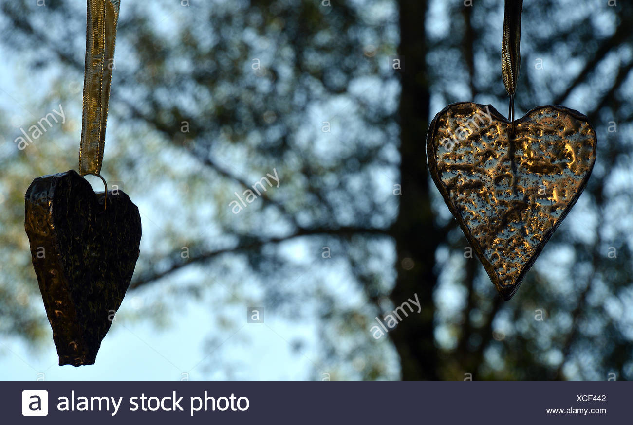 Lynching Tree High Resolution Stock Photography and Images - Alamy