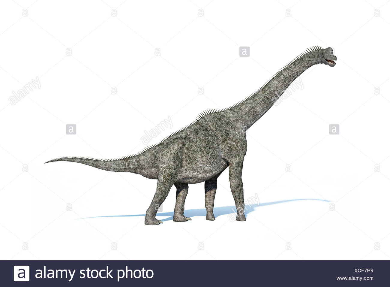 16 Metres High Resolution Stock Photography and Images - Alamy