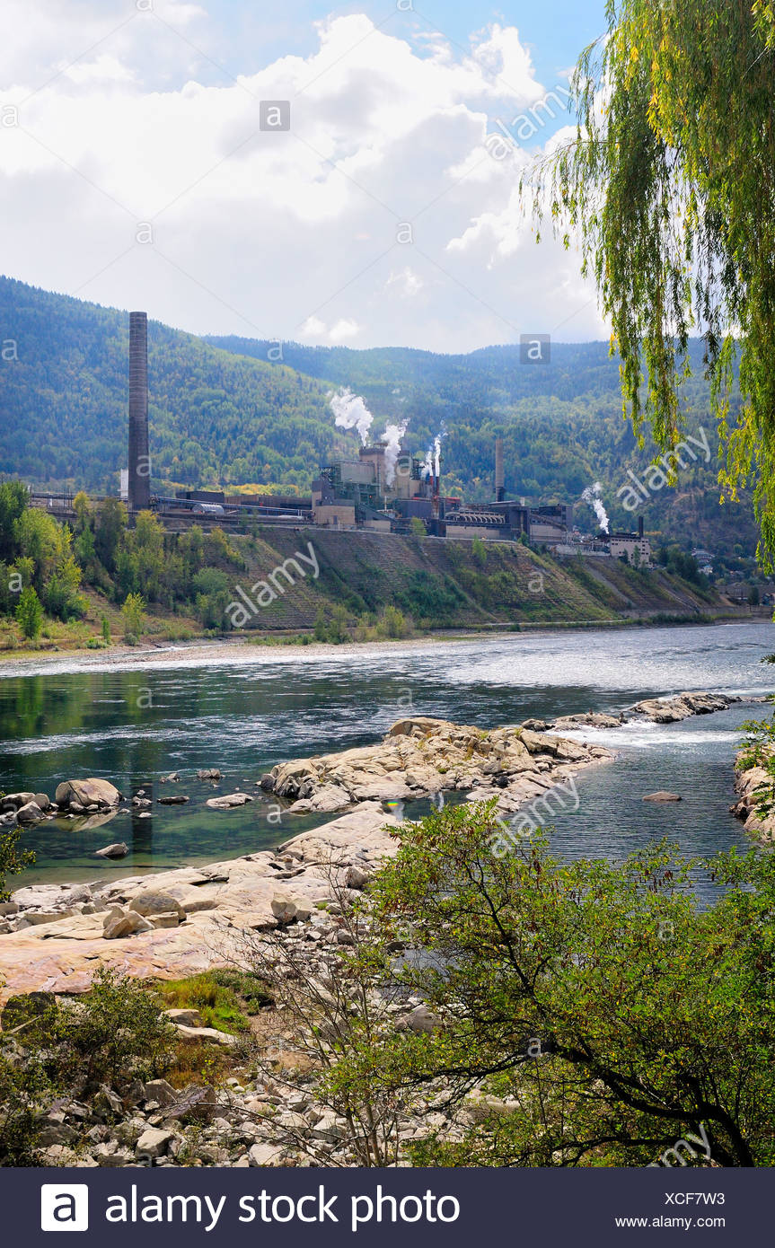 Gold Pollution High Resolution Stock Photography and Images - Alamy