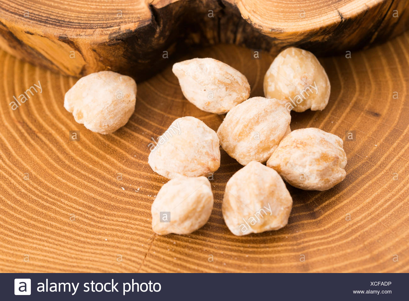 Candlenut Stock Photos & Candlenut Stock Images - Alamy