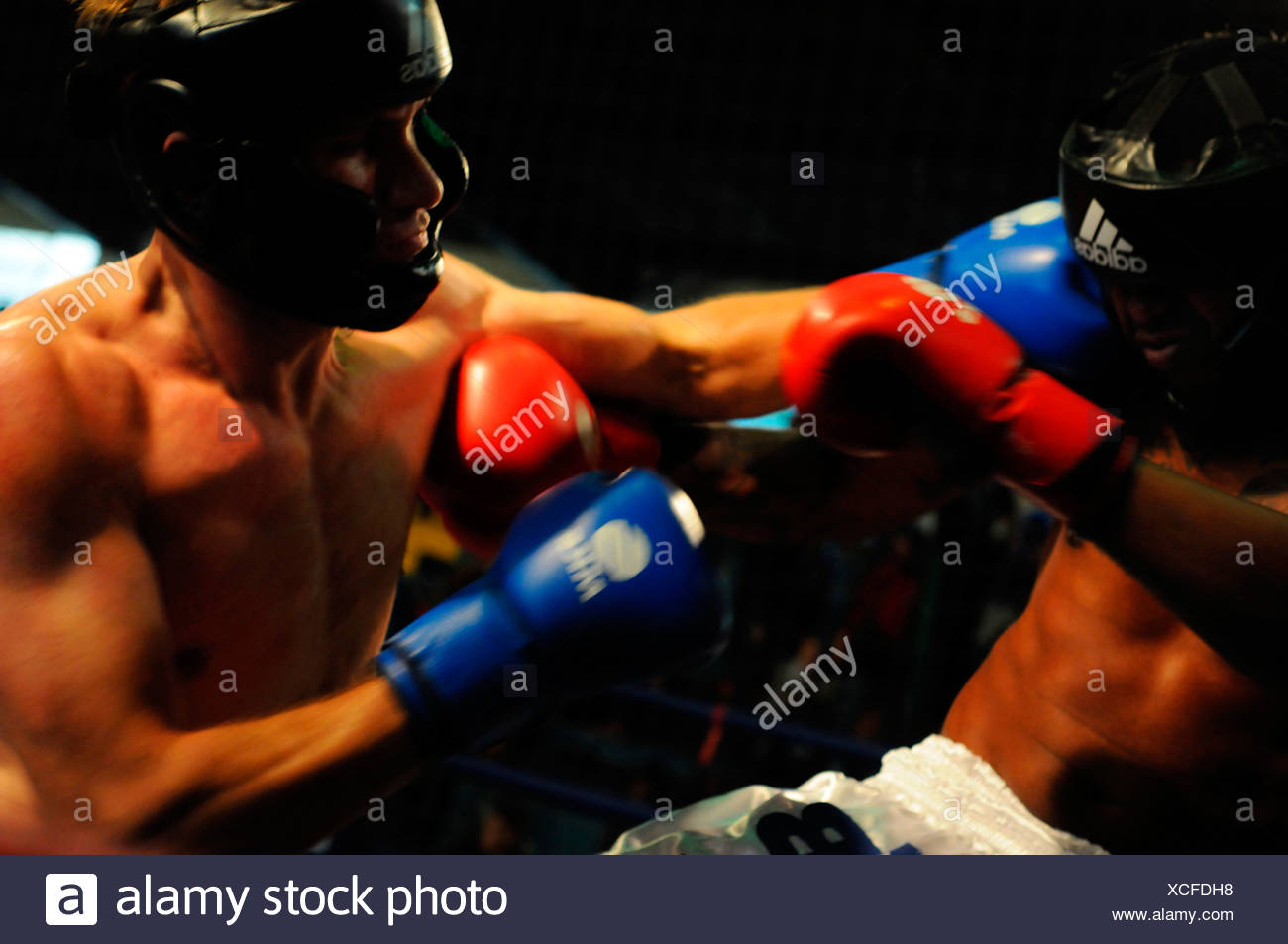 Full Contact Karate Stock Photos & Full Contact Karate Stock Images - Alamy