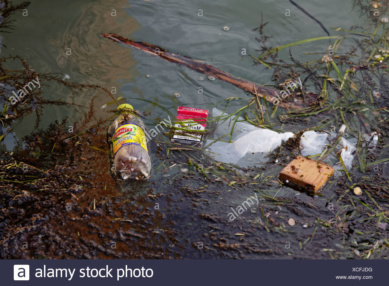 Water Contamination Rome Italy