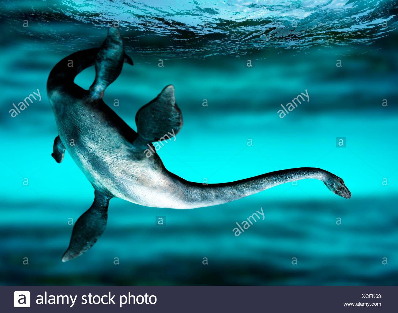 Plesiosaur High Resolution Stock Photography and Images - Alamy