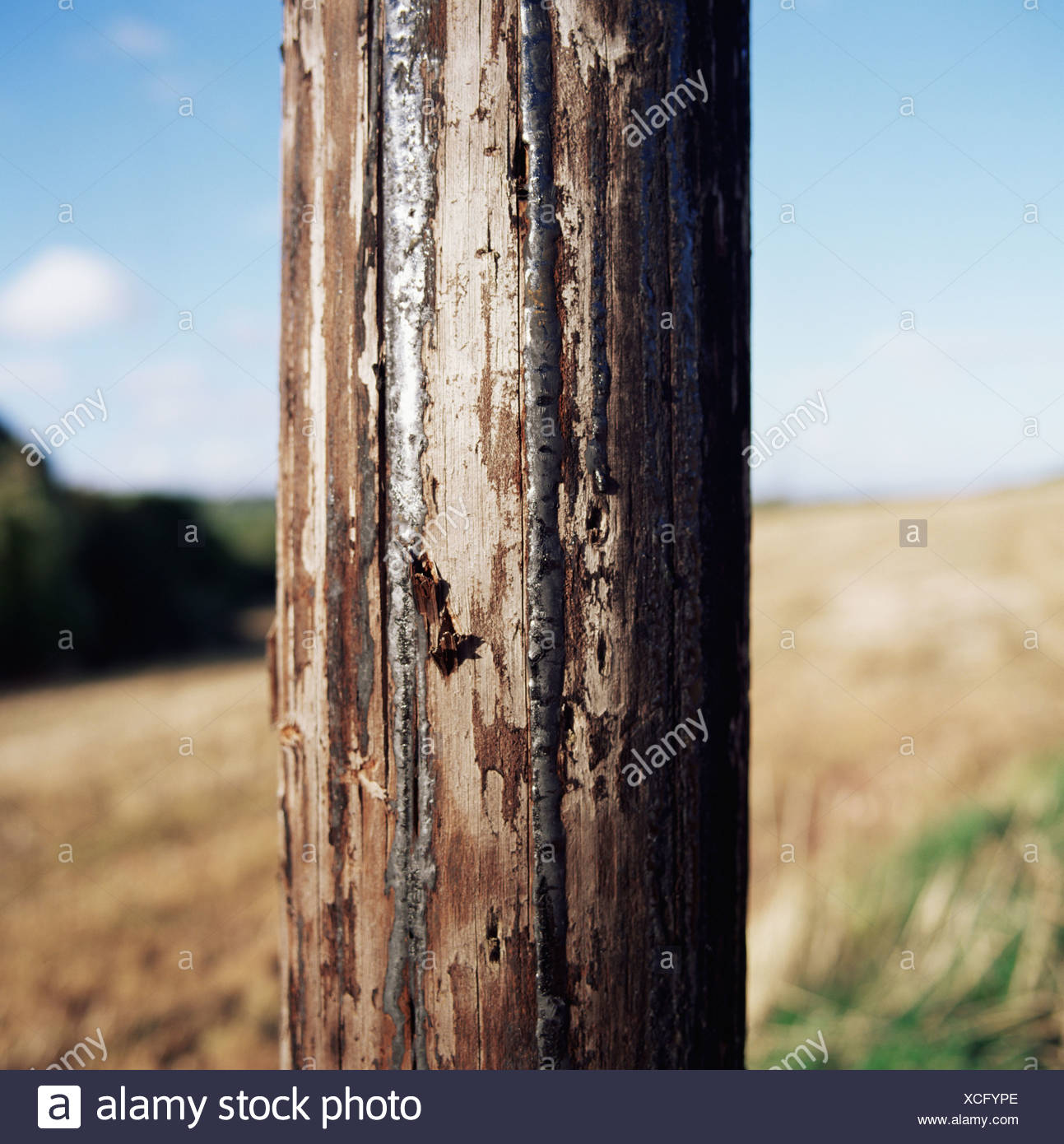 Old Telegraph Pole High Resolution Stock Photography and Images - Alamy