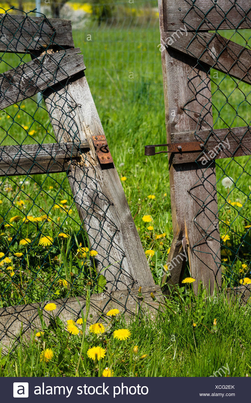 Gatter High Resolution Stock Photography and Images - Alamy