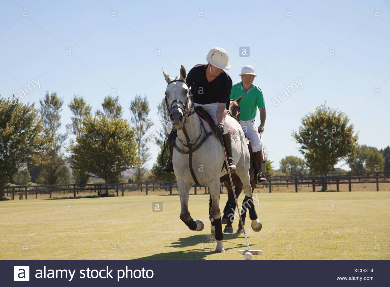 Polo Team Stock Photos & Polo Team Stock Images - Alamy