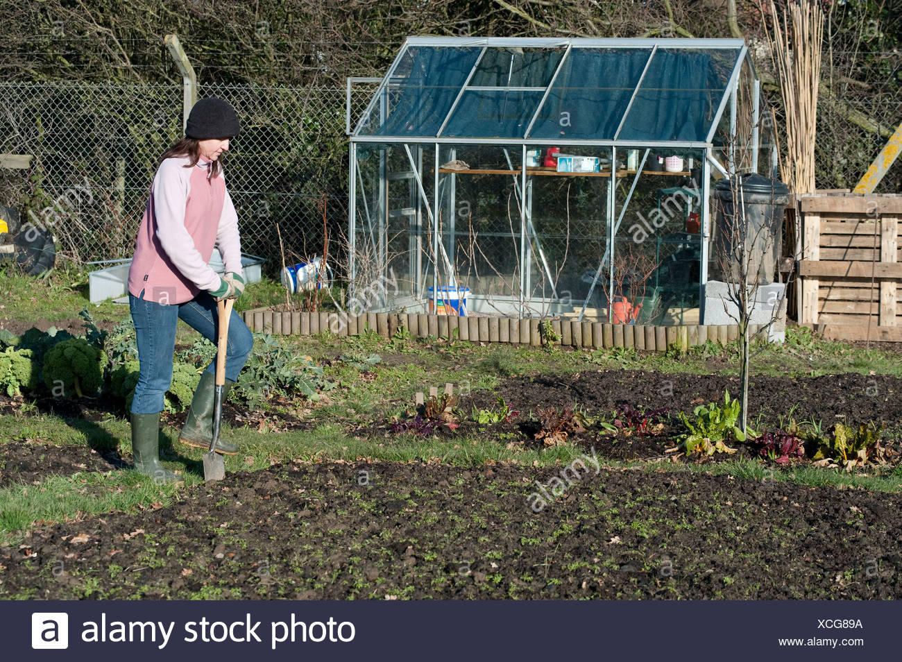 Using Spade High Resolution Stock Photography and Images - Alamy