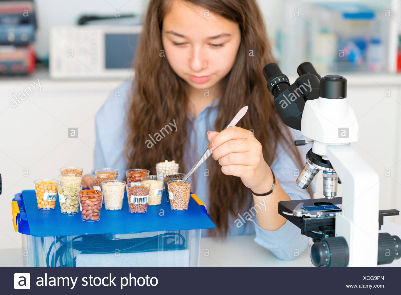 School Testing High Resolution Stock Photography and Images - Alamy