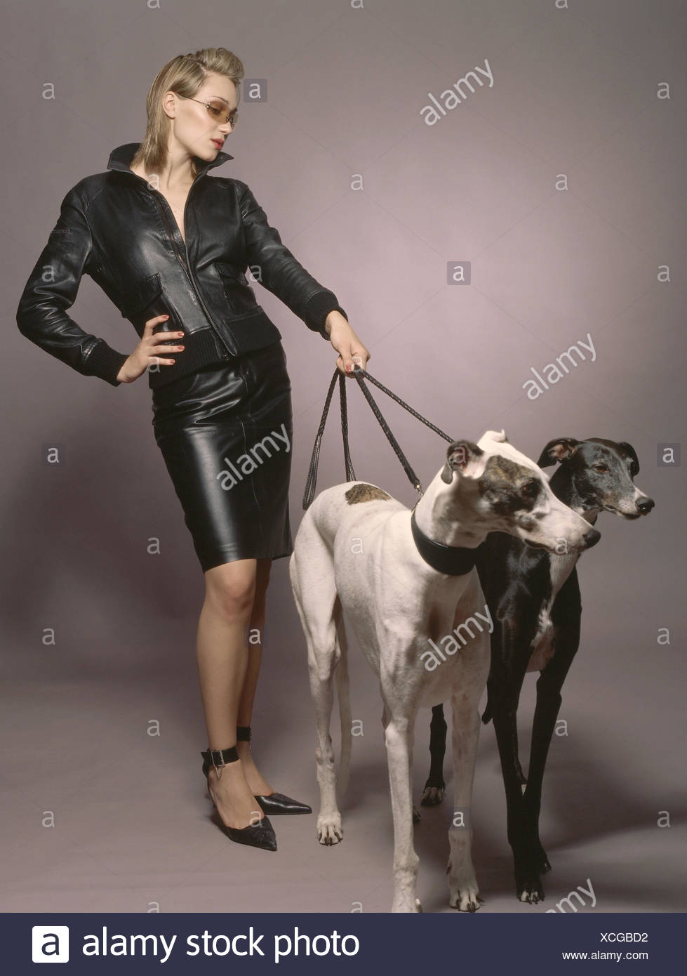 Leather Dog Costume High Resolution Stock Photography and Images - Alamy