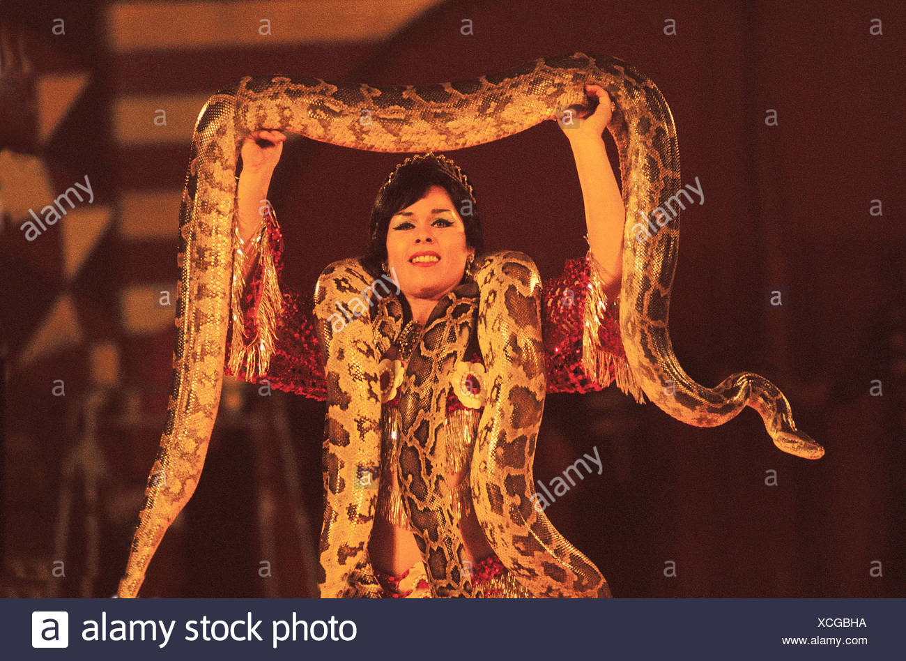 Circus Occupation High Resolution Stock Photography and Images - Alamy