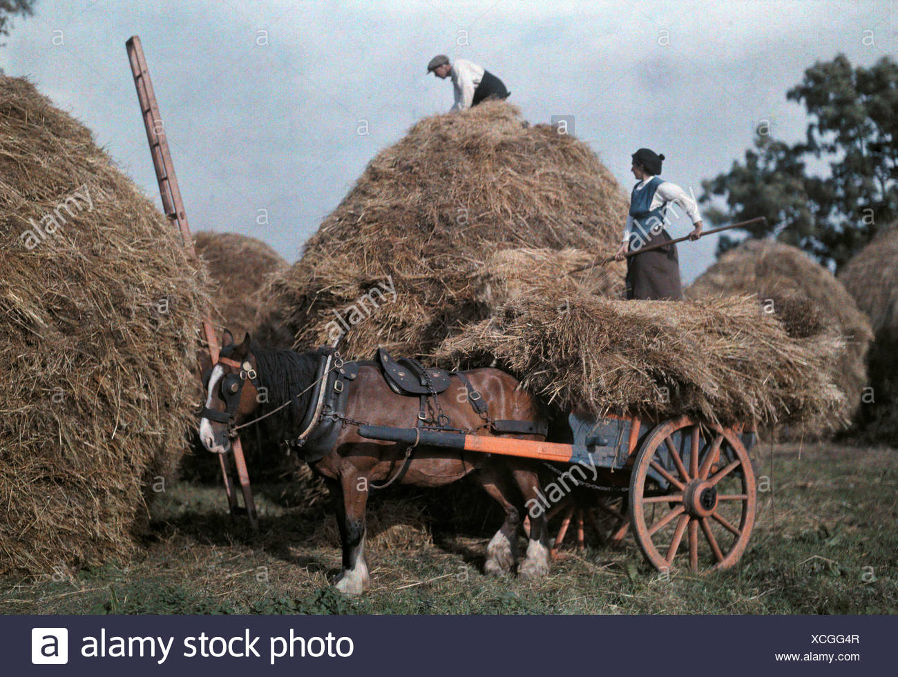 Irish Peasants Stock Photos & Irish Peasants Stock Images - Alamy