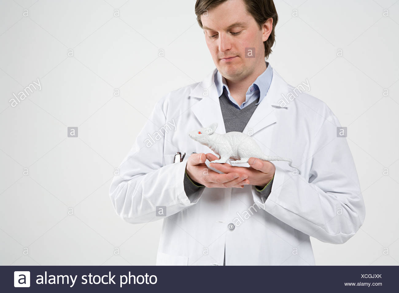 Lab Rat Experiment High Resolution Stock Photography and Images - Alamy