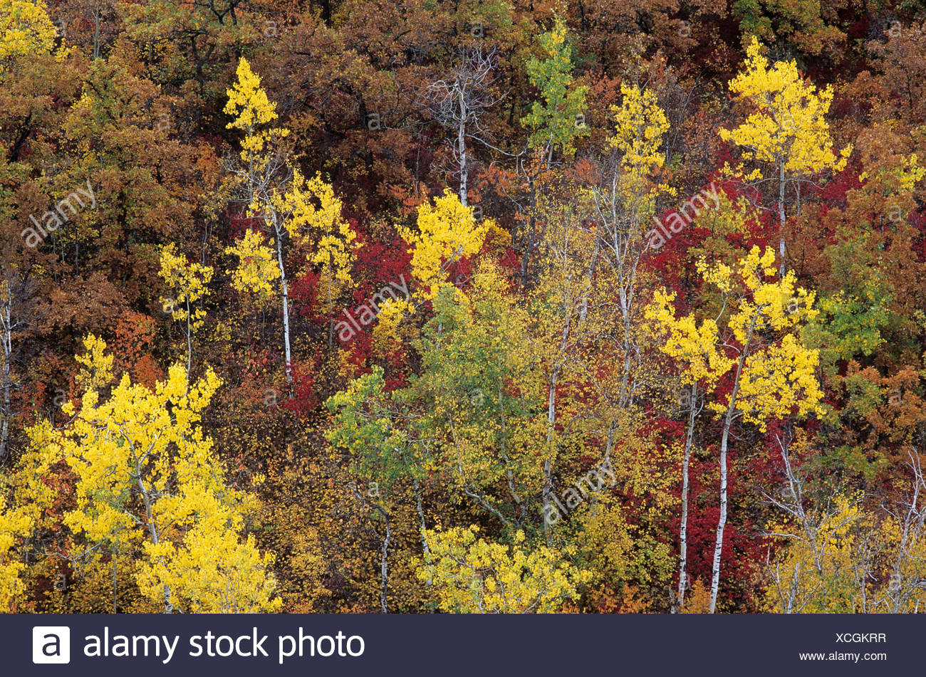 Manitoba Escarpment High Resolution Stock Photography and Images - Alamy