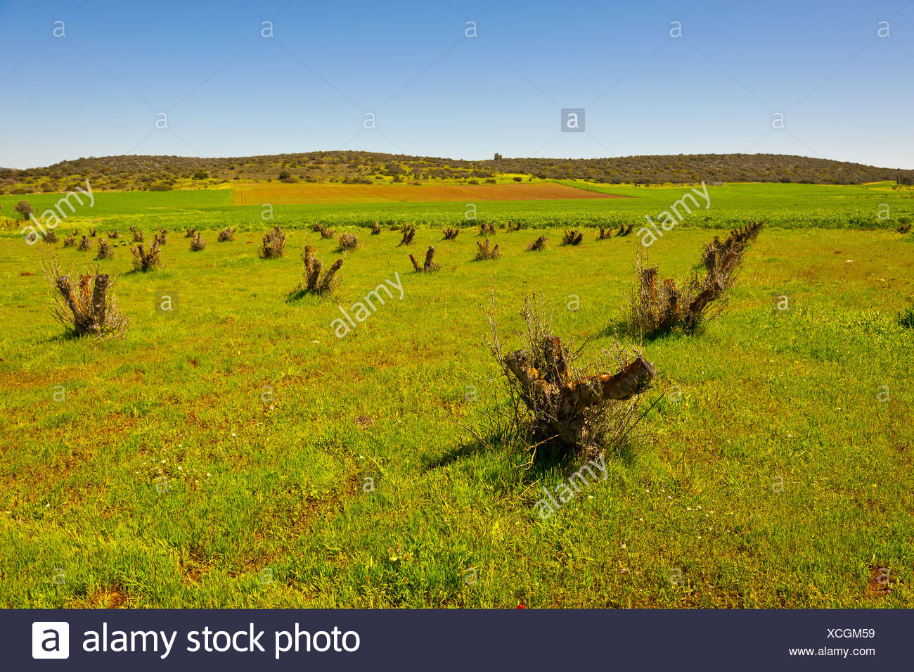 Slumps Stock Photos & Slumps Stock Images - Alamy