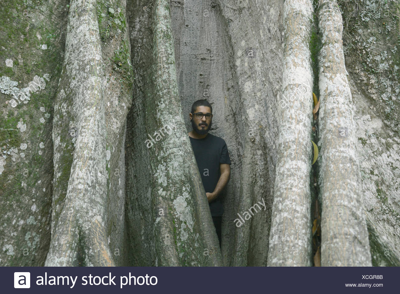 Man Hiding In Tree High Resolution Stock Photography and Images - Alamy