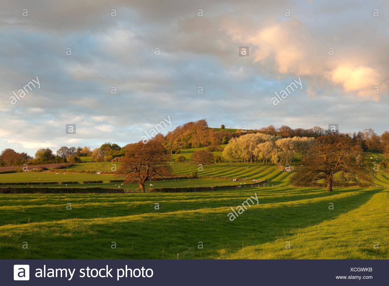 Ancient Field Patterns High Resolution Stock Photography and Images - Alamy