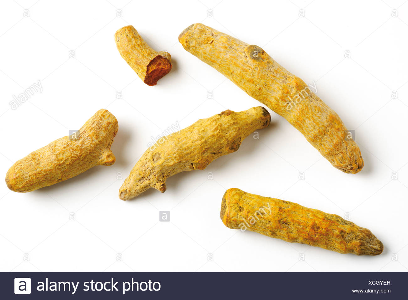 Ginger Families High Resolution Stock Photography and Images - Alamy