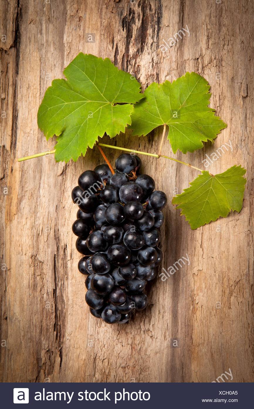 Grenache Grape High Resolution Stock Photography and Images - Alamy
