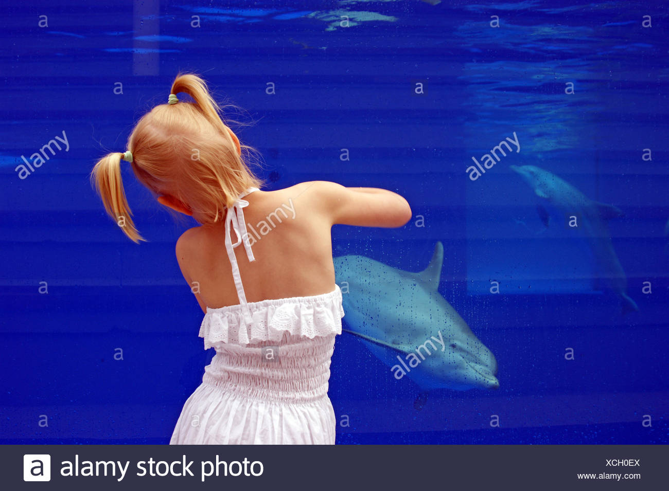 Delfin Human Stock Photos & Delfin Human Stock Images - Alamy