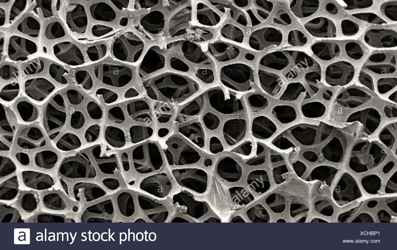 Marcoform High Resolution Stock Photography and Images - Alamy