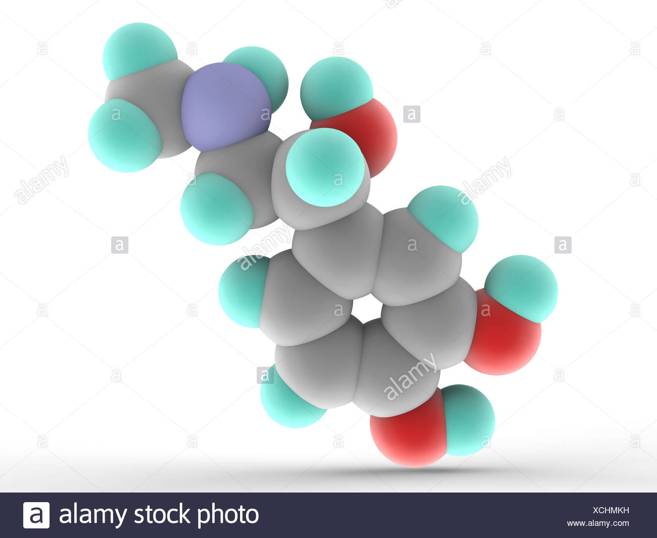 Epinephrine Molecule High Resolution Stock Photography and Images - Alamy
