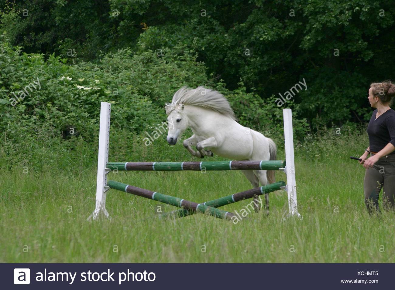 Horses Jumping Girls High Resolution Stock Photography and Images - Alamy