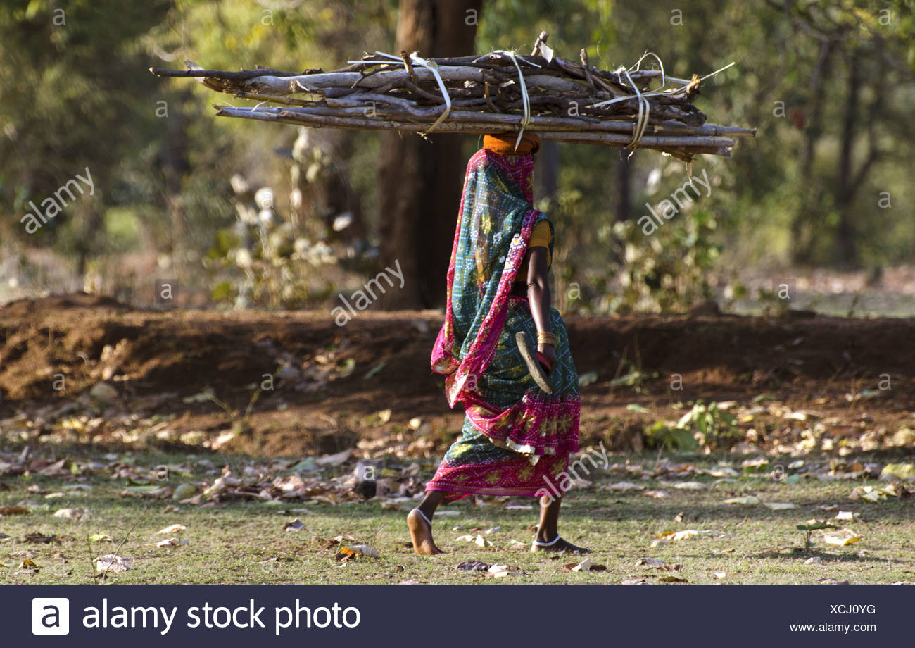 Woman Carrying Sticks On Head High Resolution Stock Photography and ...