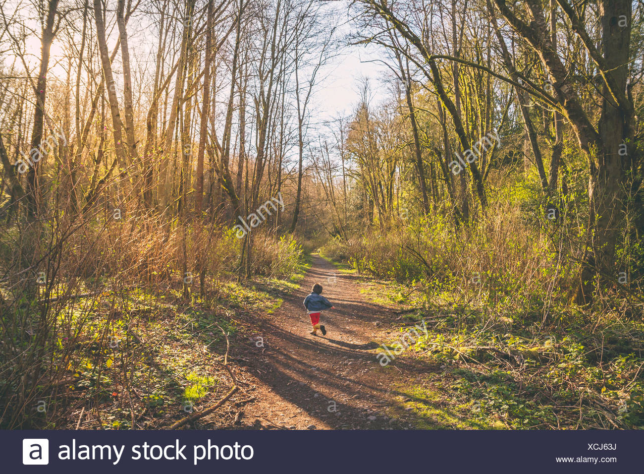 Running Through Woods High Resolution Stock Photography and Images - Alamy