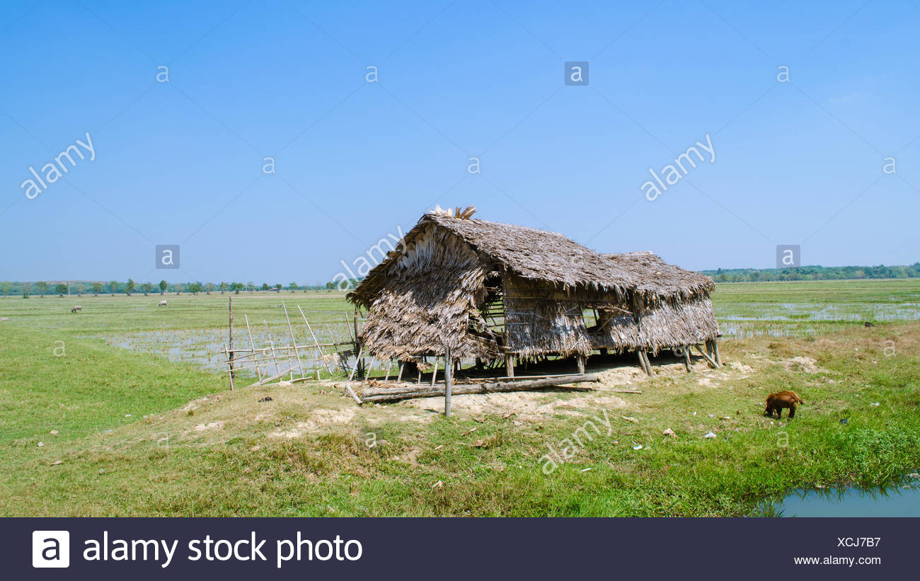 Burma Farm Hut Stock Photos & Burma Farm Hut Stock Images - Alamy