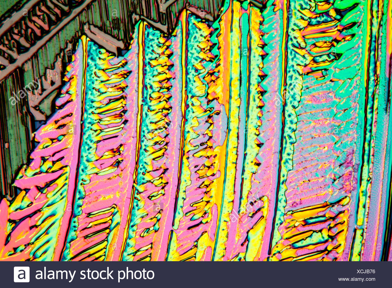 Urea Crystals Stock Photos & Urea Crystals Stock Images - Alamy