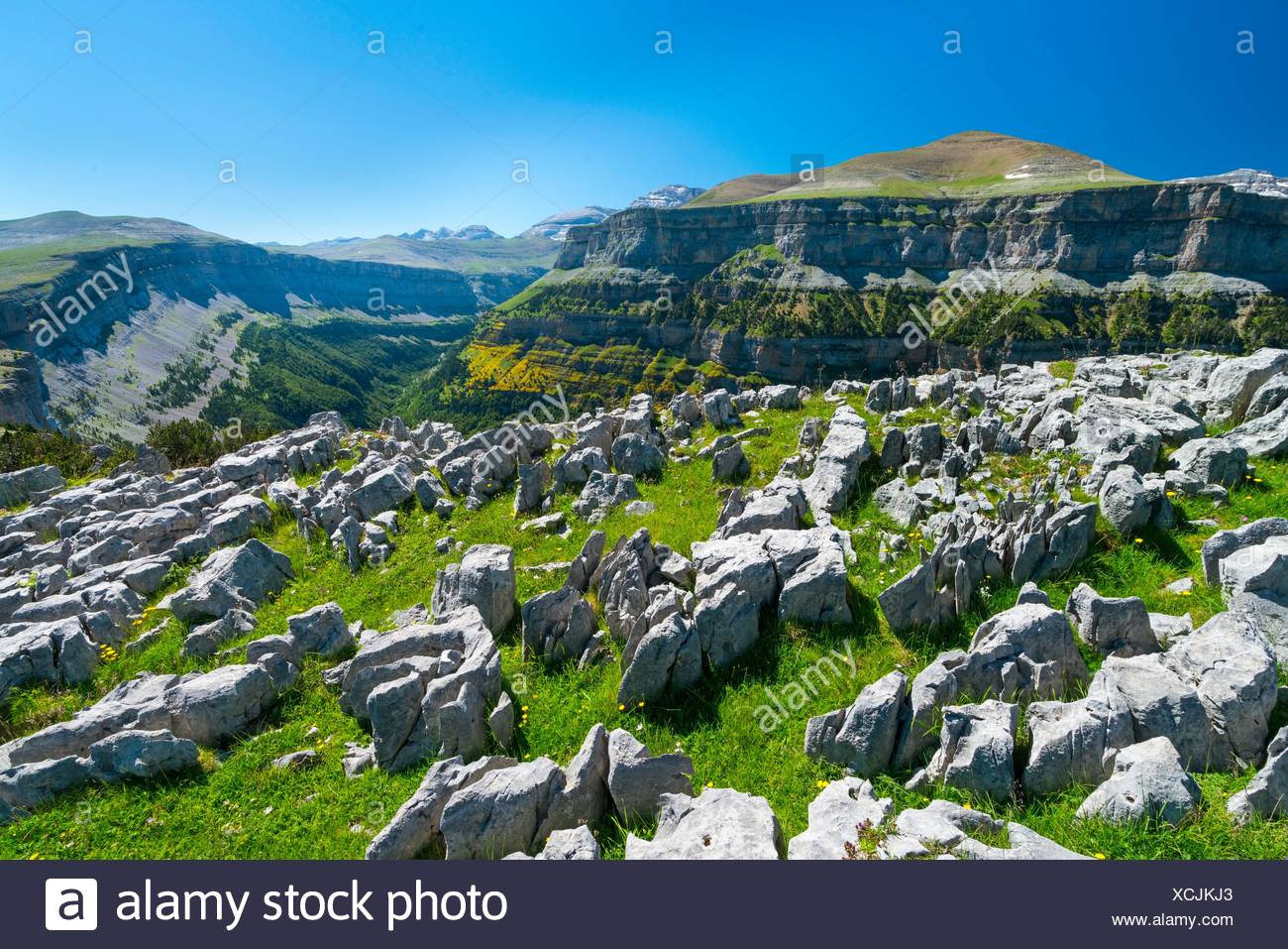 Lapiaz Stock Photos & Lapiaz Stock Images - Alamy