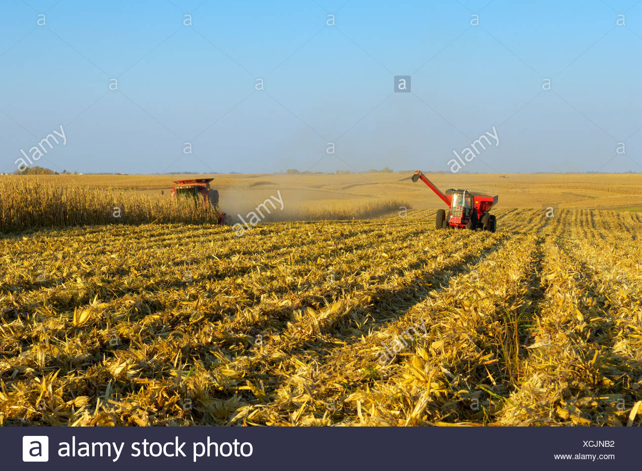 Farmer With Combine High Resolution Stock Photography and Images - Alamy
