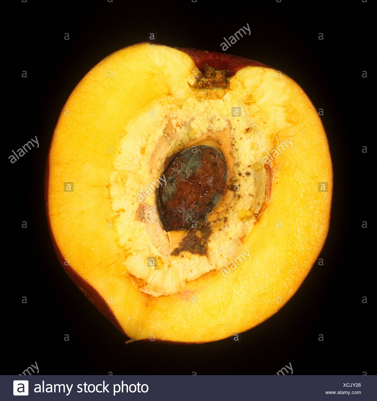 Physiological Damage High Resolution Stock Photography and Images - Alamy