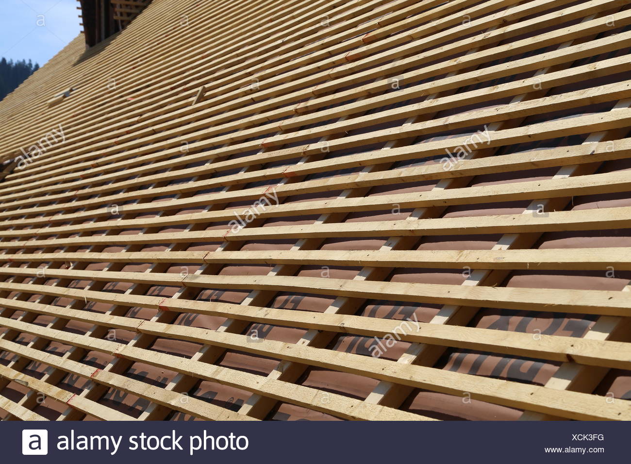 Roofing Battens High Resolution Stock Photography and Images - Alamy