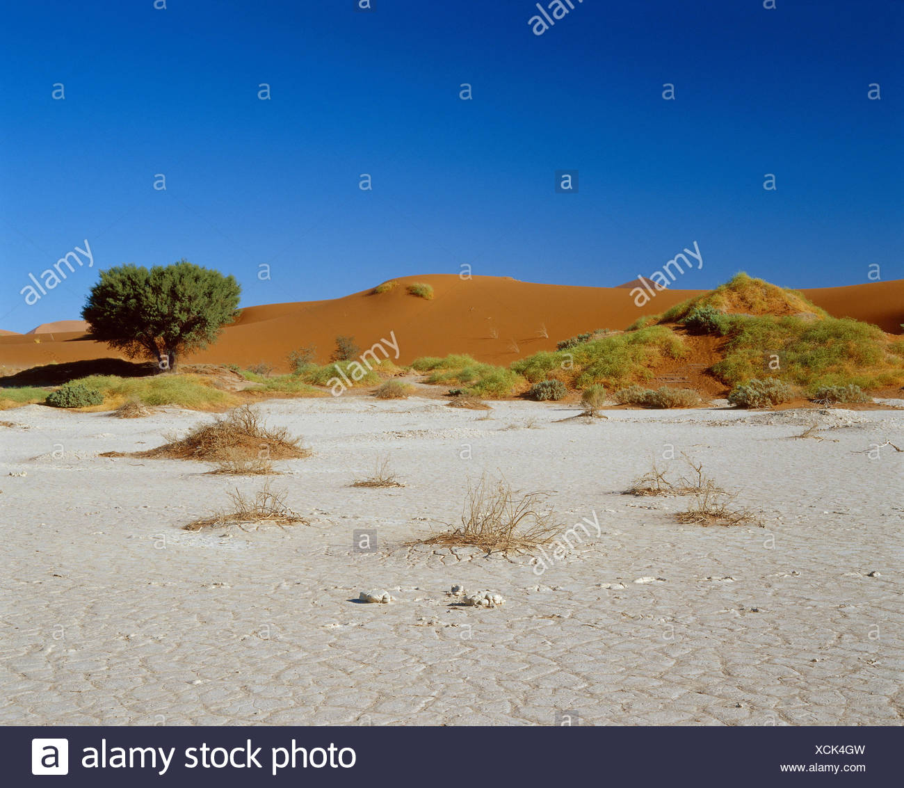 Meagerly High Resolution Stock Photography and Images - Alamy