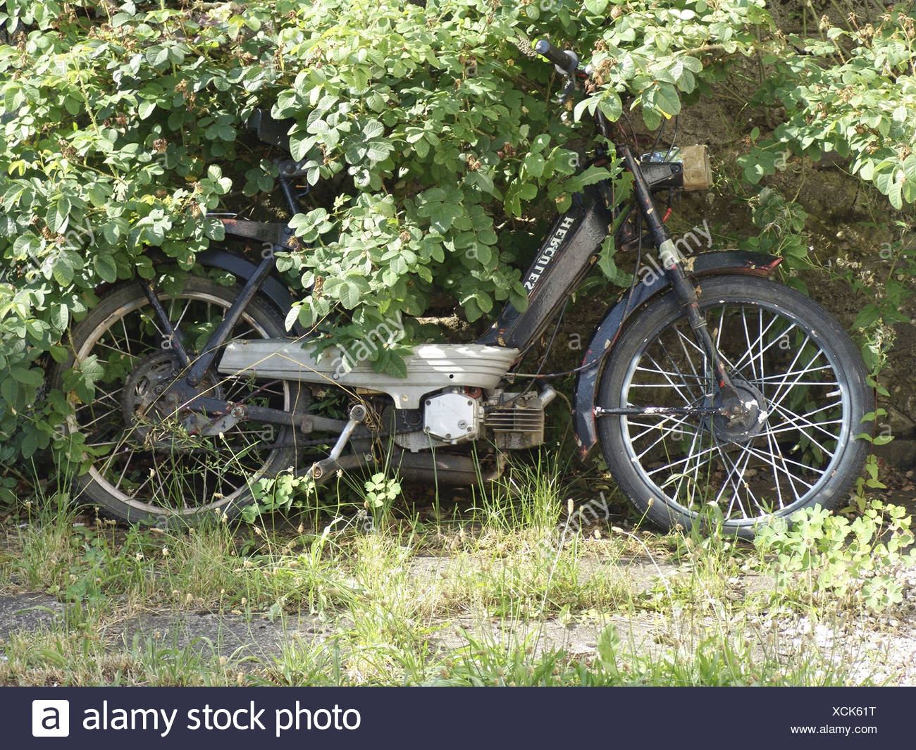 Moped Scrap High Resolution Stock Photography and Images - Alamy