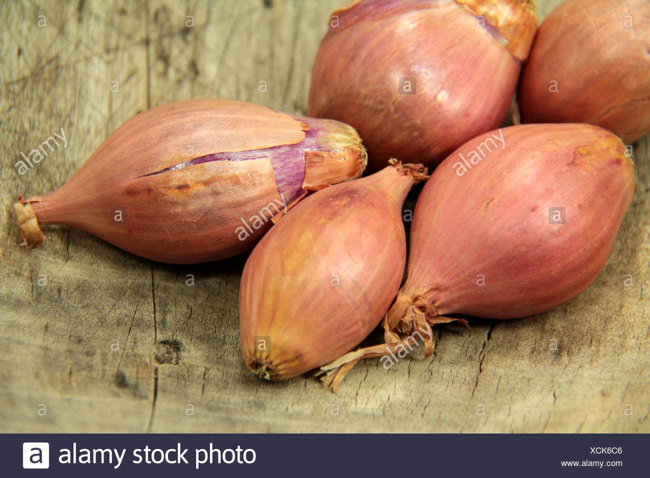 Eschalotte Stock Photos & Eschalotte Stock Images - Alamy