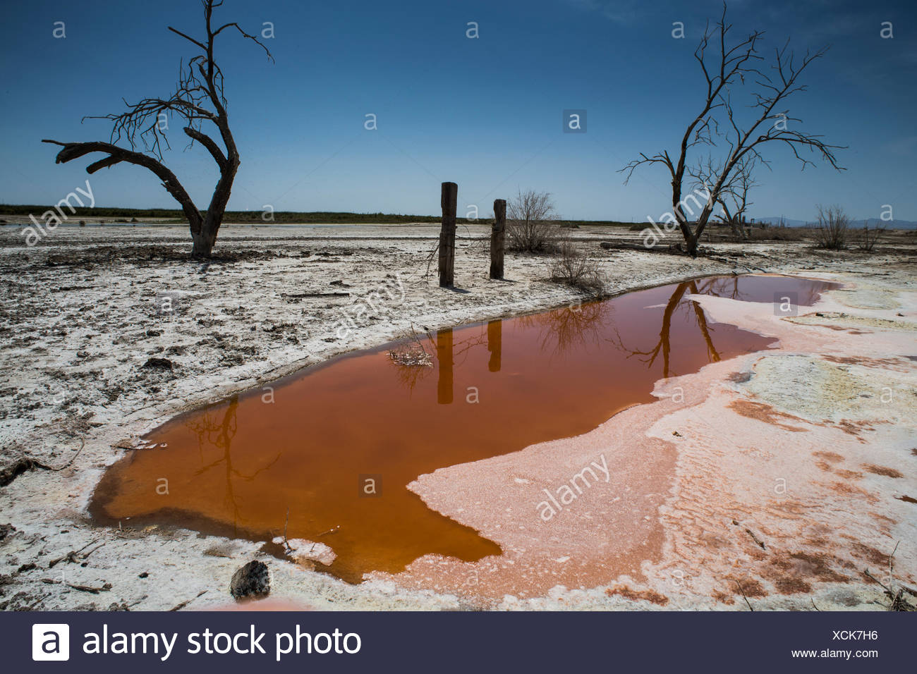 Agricultural Runoff Stock Photos & Agricultural Runoff Stock Images - Alamy