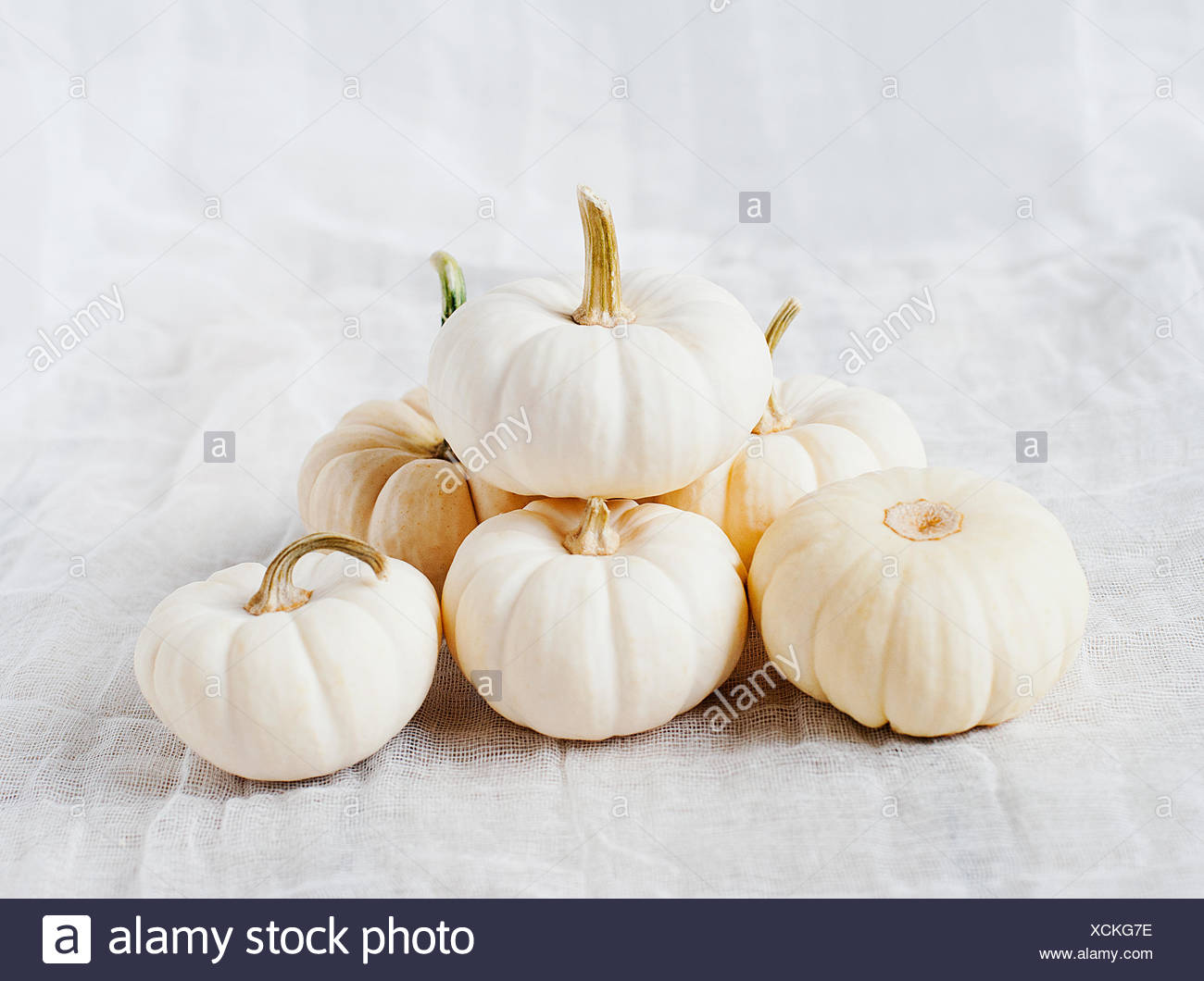 White Squash High Resolution Stock Photography and Images - Alamy