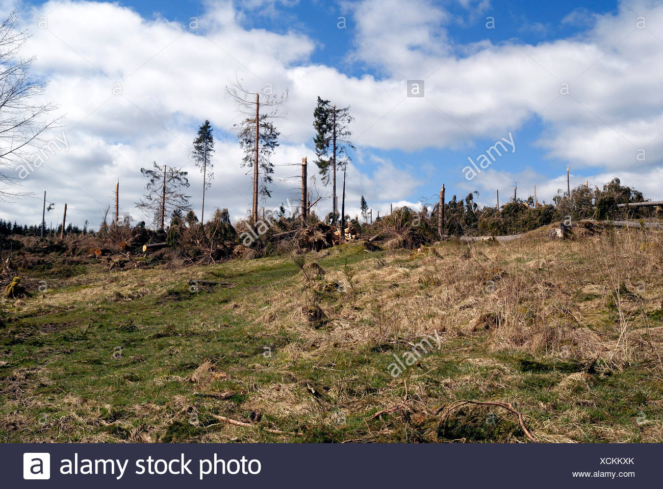Hurricane Kyrill High Resolution Stock Photography and Images - Alamy